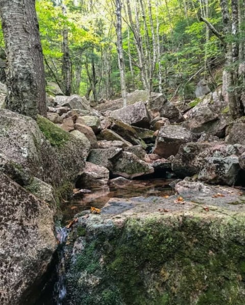 Your Guide To The Best Hikes in Acadia National Park [20+ Amazing Trails!]