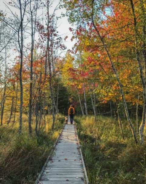 The Best Things To Do In Acadia National Park For Nature Lovers