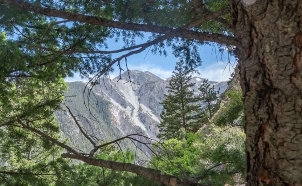 Mindful Moments in Nature: Boost Your Mood & Improve Happiness