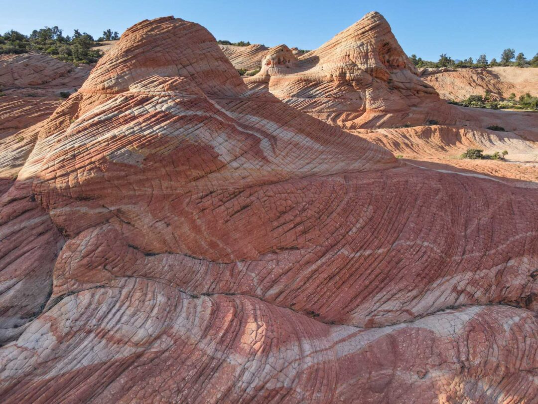 Hike To Utah's Stunning Candy Cliffs With This Guide To Yant Flat Trail