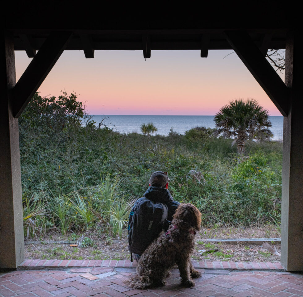 12 Amazing Things To Do Near Edisto Beach South Carolina
