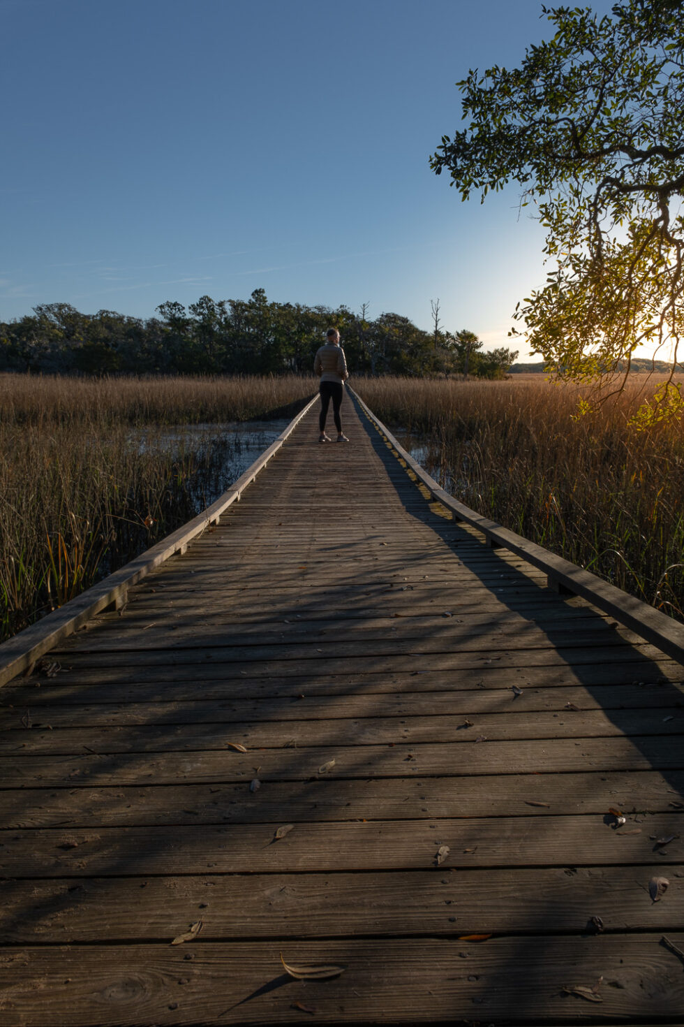 12 Amazing Things To Do Near Edisto Beach South Carolina