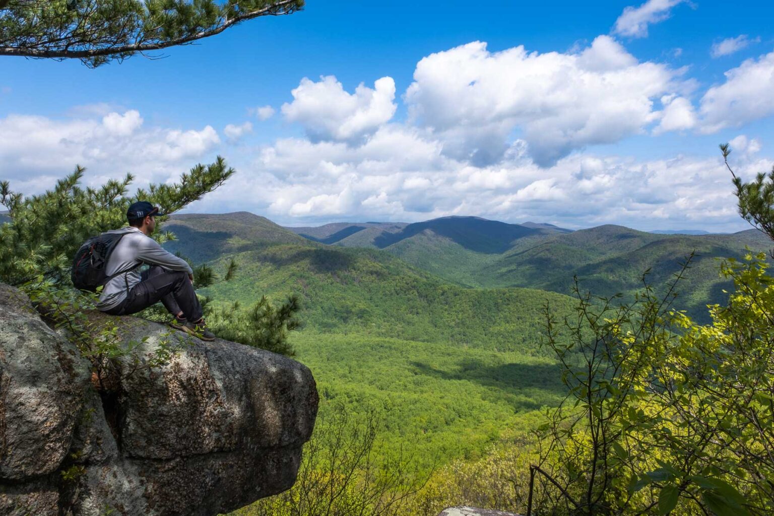 The 14 Best Waterfall Hikes in Shenandoah National Park