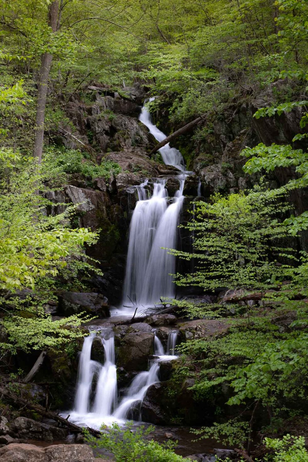 The 14 Best Waterfall Hikes in Shenandoah National Park