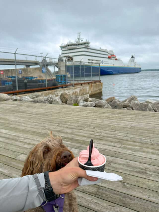 All About The Ferry To Newfoundland & Bringing Your RV With You!