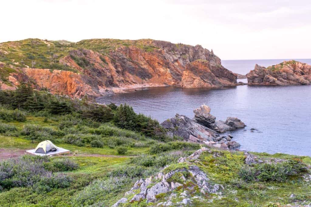13 Best Things To Do in Twillingate Newfoundland