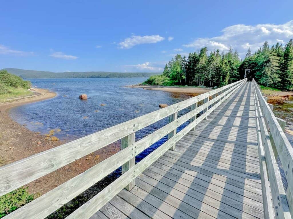 10 Unforgettable Things To Do in Terra Nova National Park