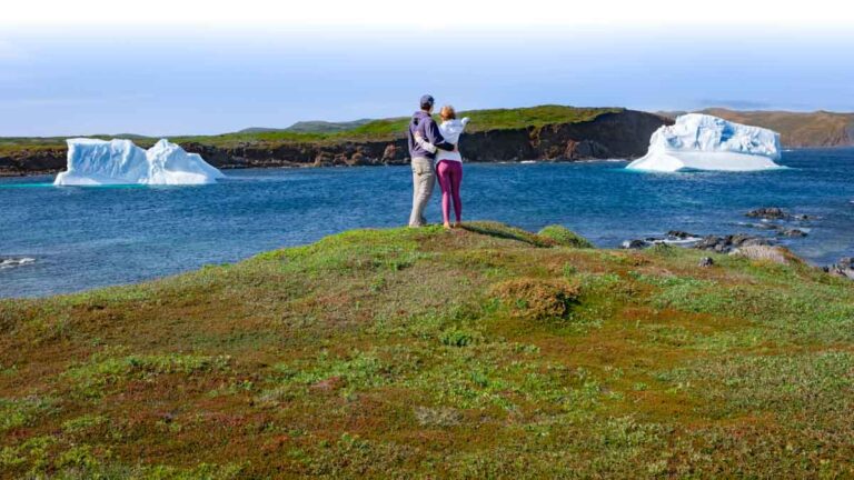 When Is The Best Time of Year To Visit Newfoundland?