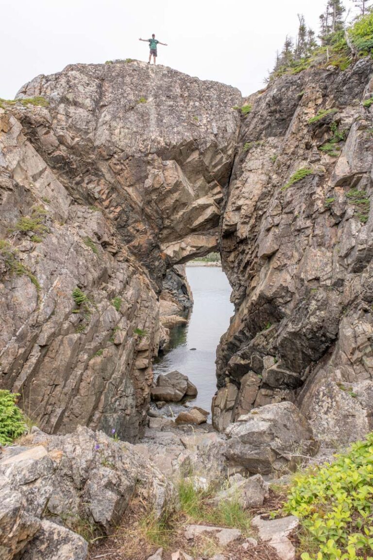13 Best Things To Do in Twillingate Newfoundland
