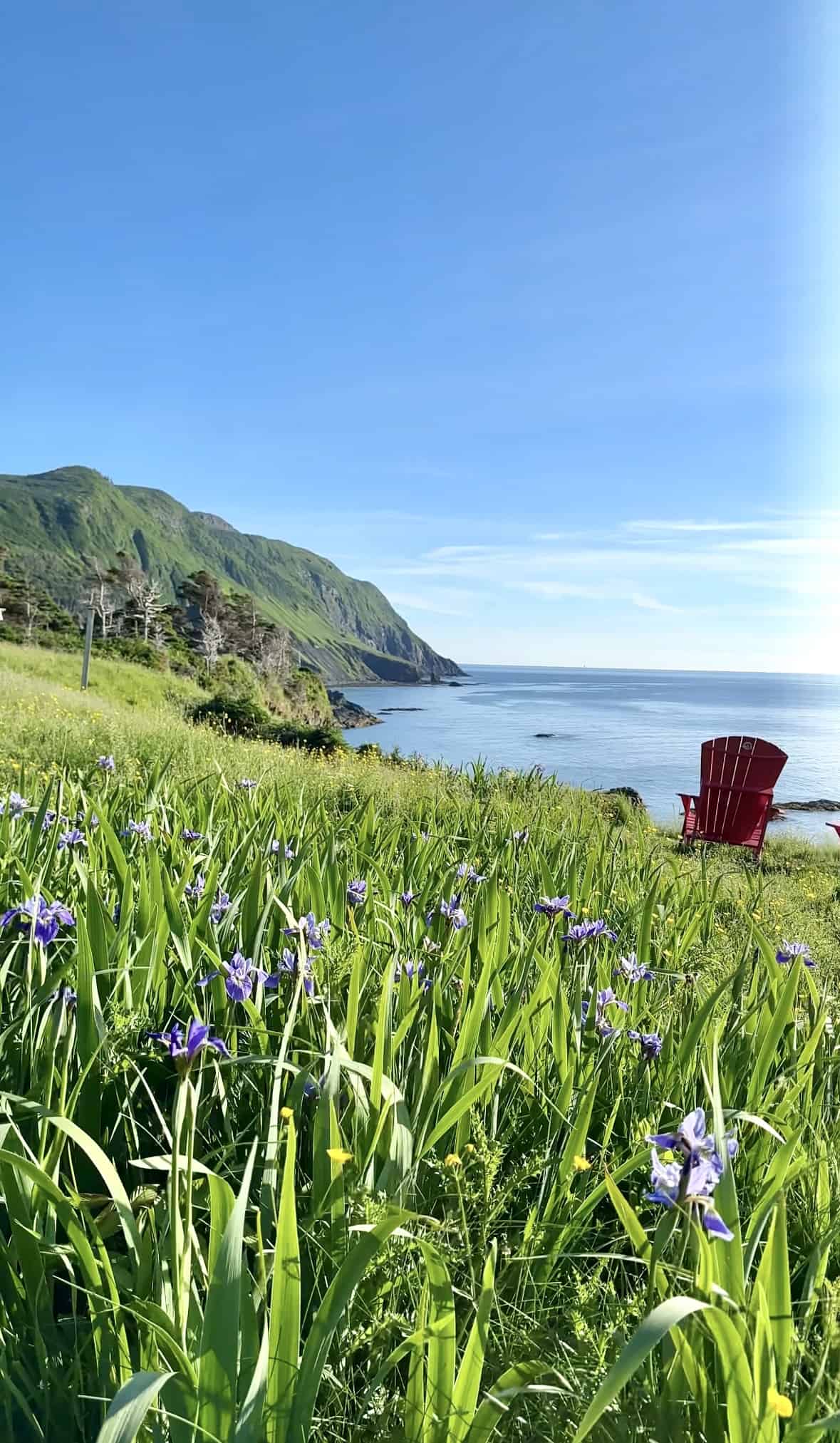 When Is The Best Time of Year To Visit Newfoundland?