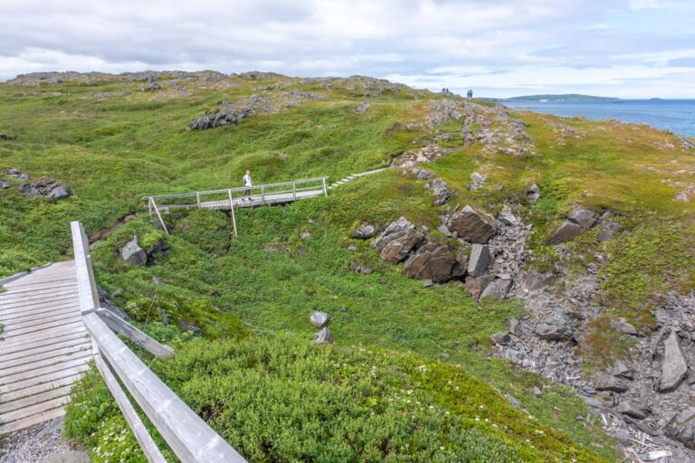 14 Best Things To Do In St. Anthony Newfoundland (& The Great Northern ...