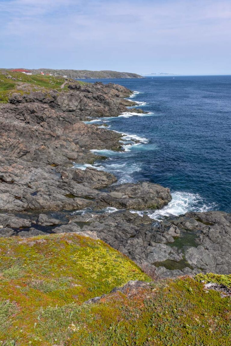14 Best Things To Do In St. Anthony Newfoundland (& The Great Northern ...